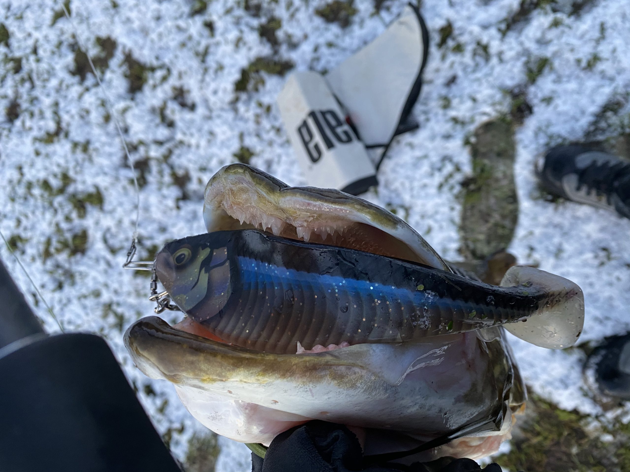 STORM V-SLAB - Rapala.dk