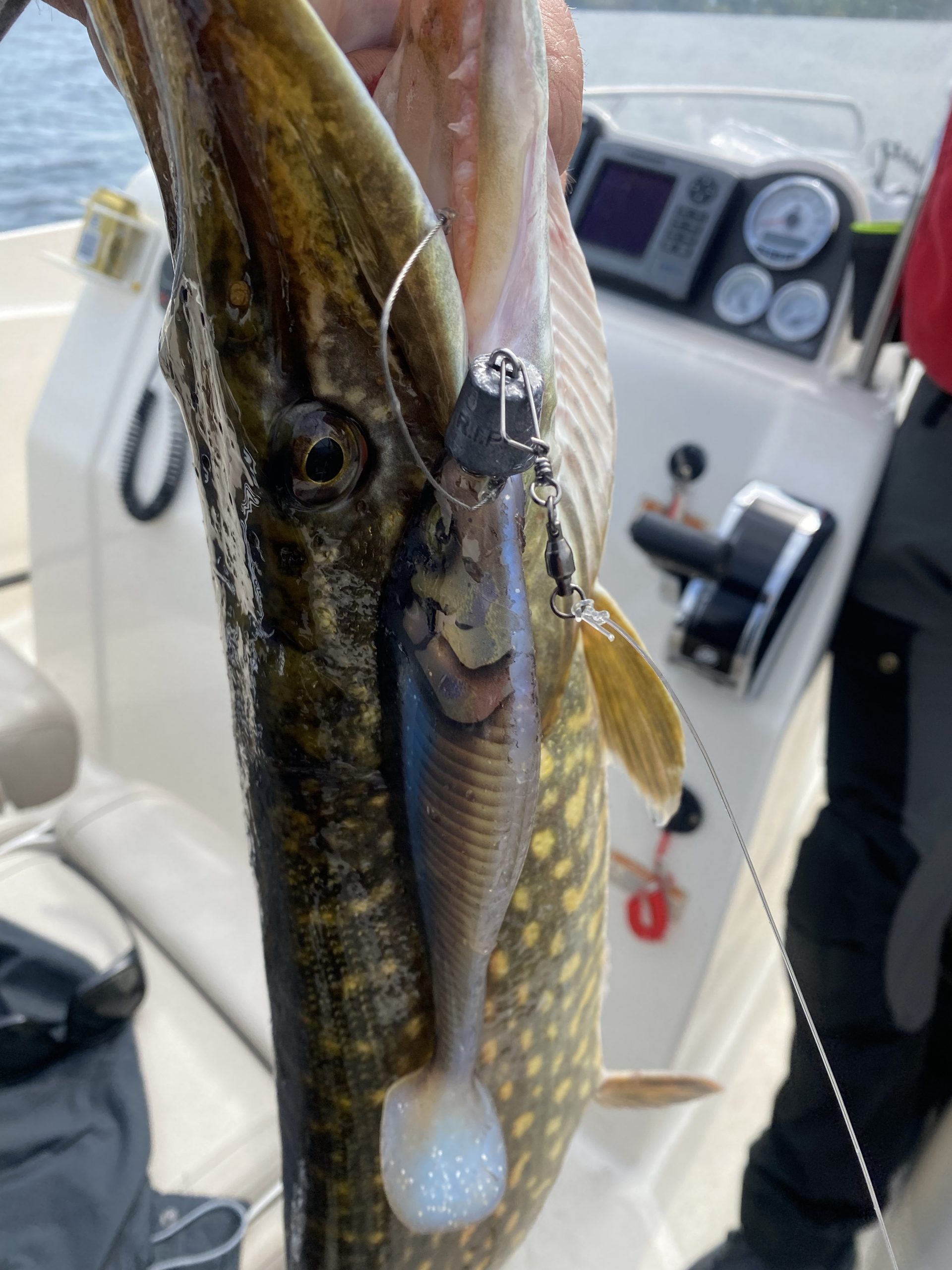 STORM V-SLAB - Rapala.dk