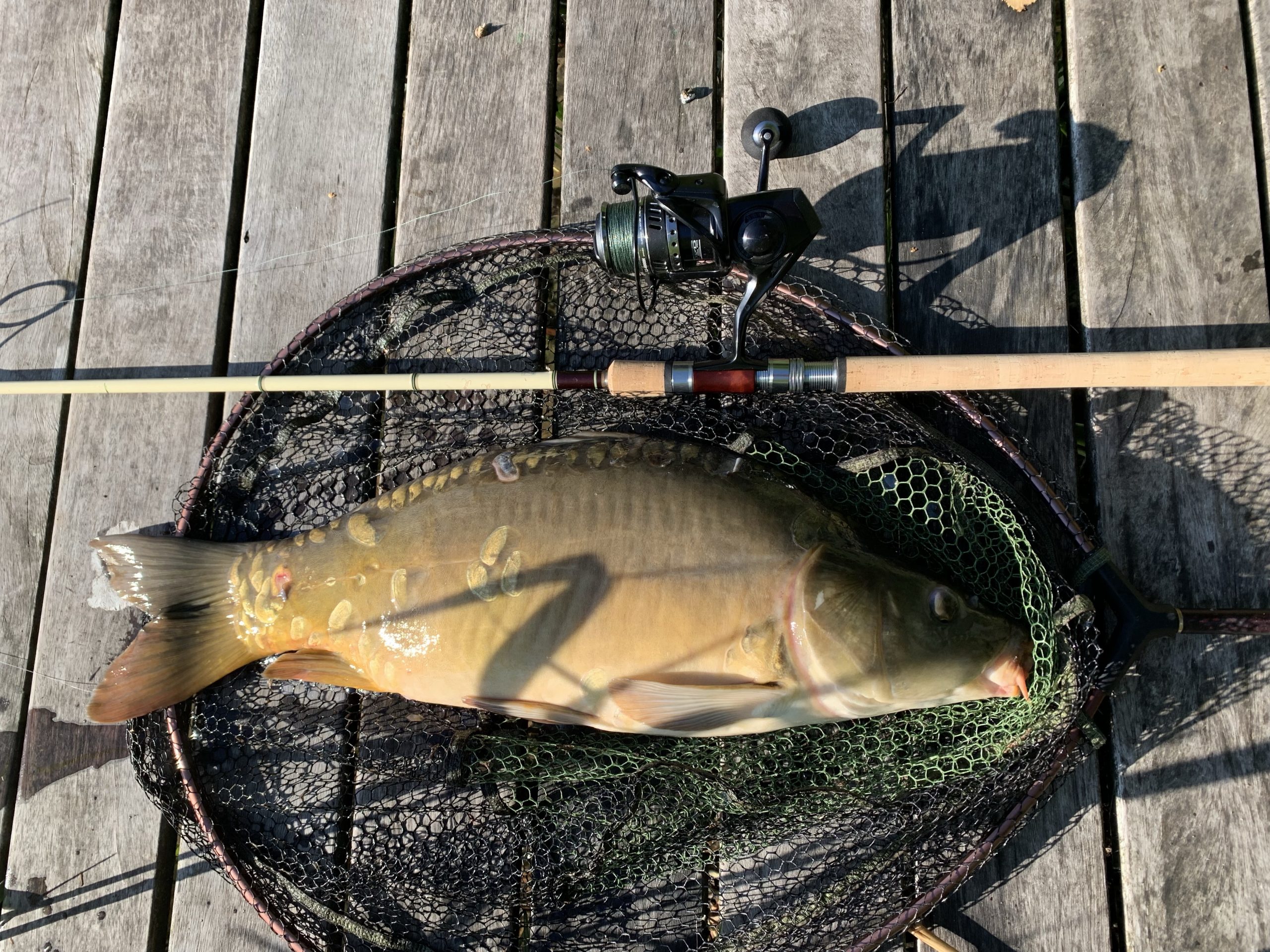 Dappe fiskeri - Rapala.dk